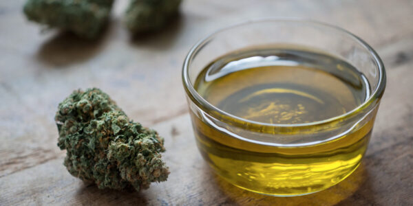 Cannabis Cooking Oil Recipe | The Clone Conservatory
